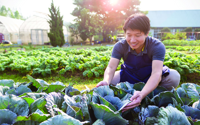 Seek Out Small Farms and Buy Direct from Farmers - Grit